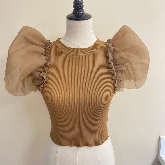 Hazel & Olive | Tops | Hazel Olive Caramel Organza Puff Sleeve Crop Top ...